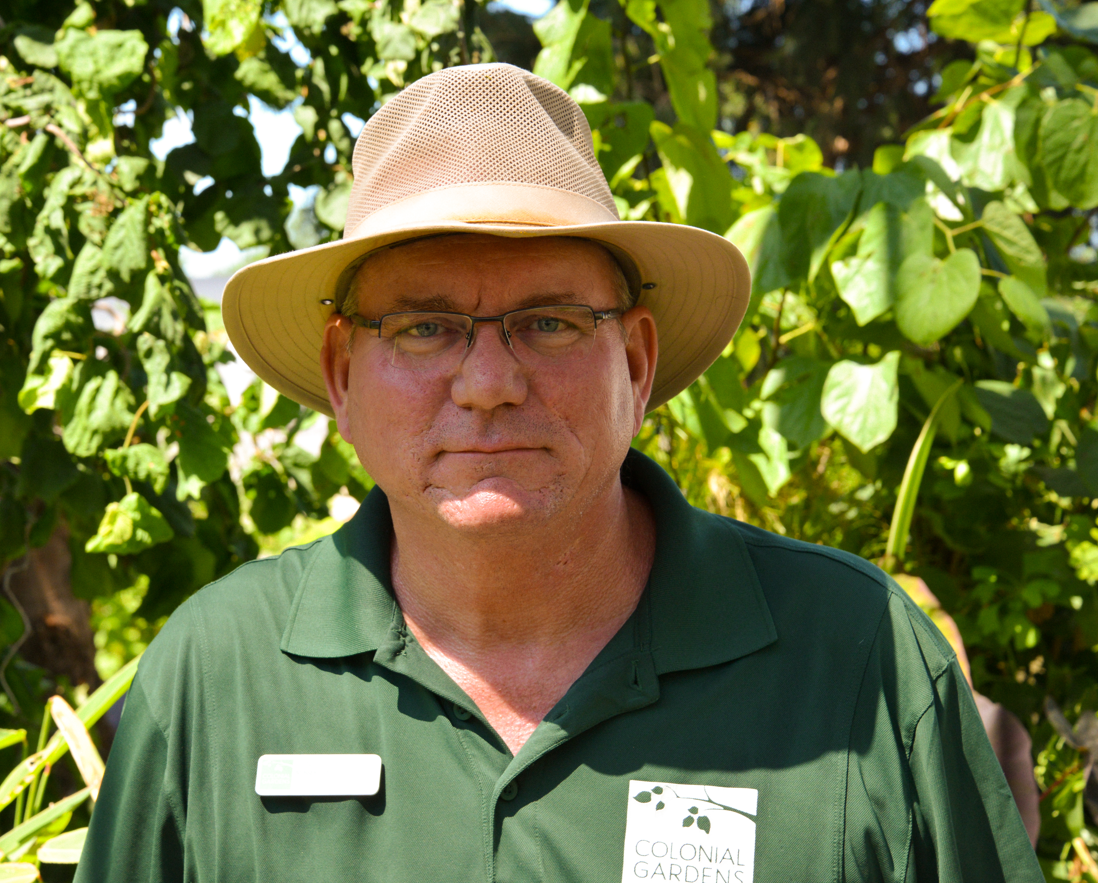 Landscaping Trees, Bushes & Shrubs | Colonial Farms