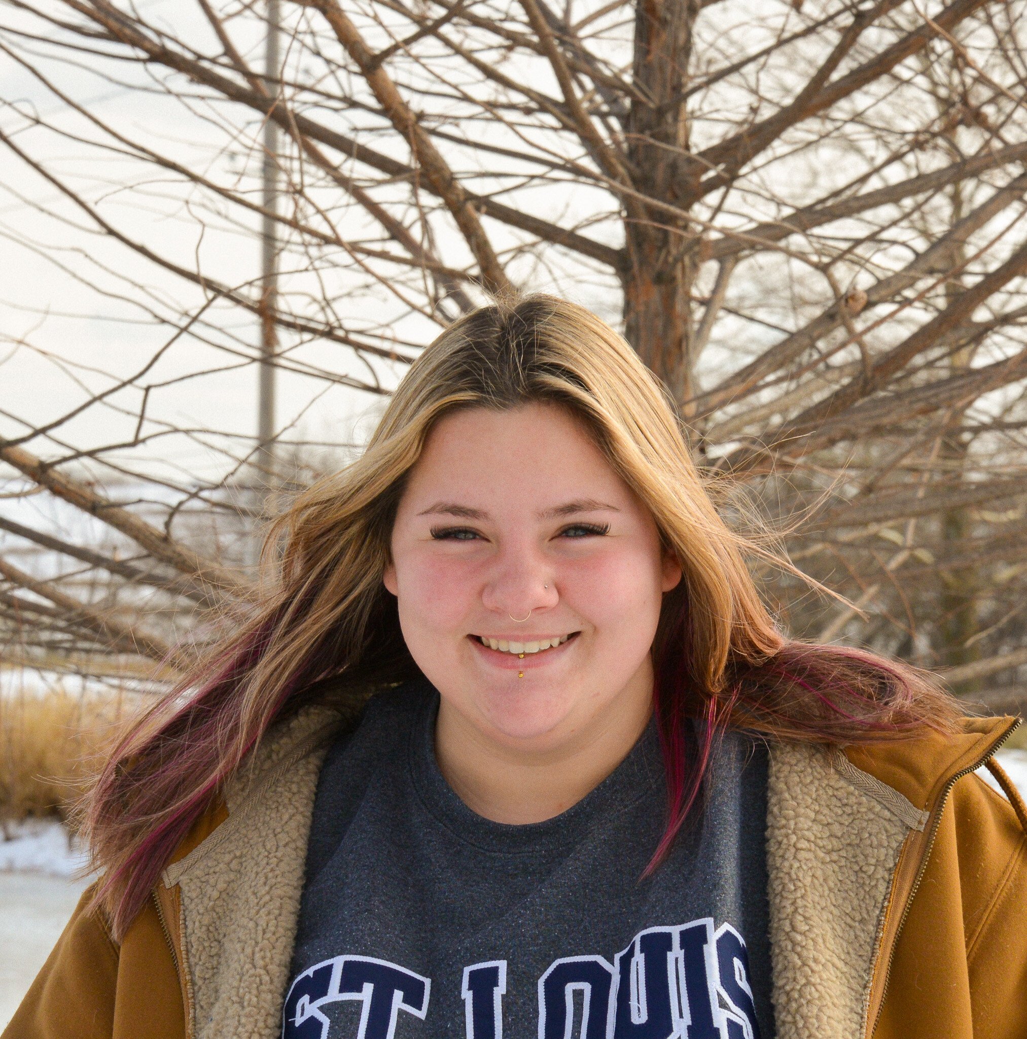 Landscaping Trees, Bushes & Shrubs | Colonial Gardens