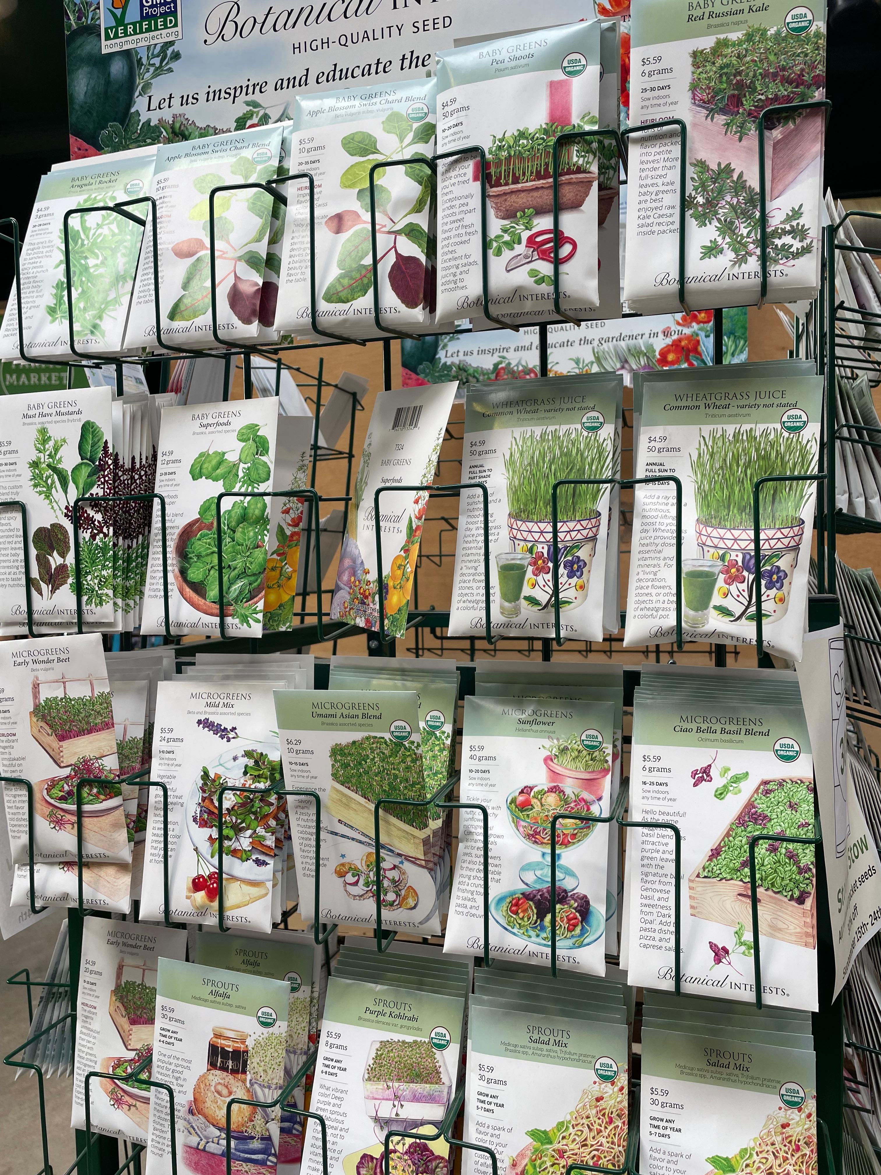 Sowing Success: A Quick Guide to Planning Your Vegetable Garden