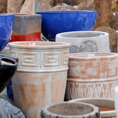 5 Ways to Use a Container | Colonial Gardens